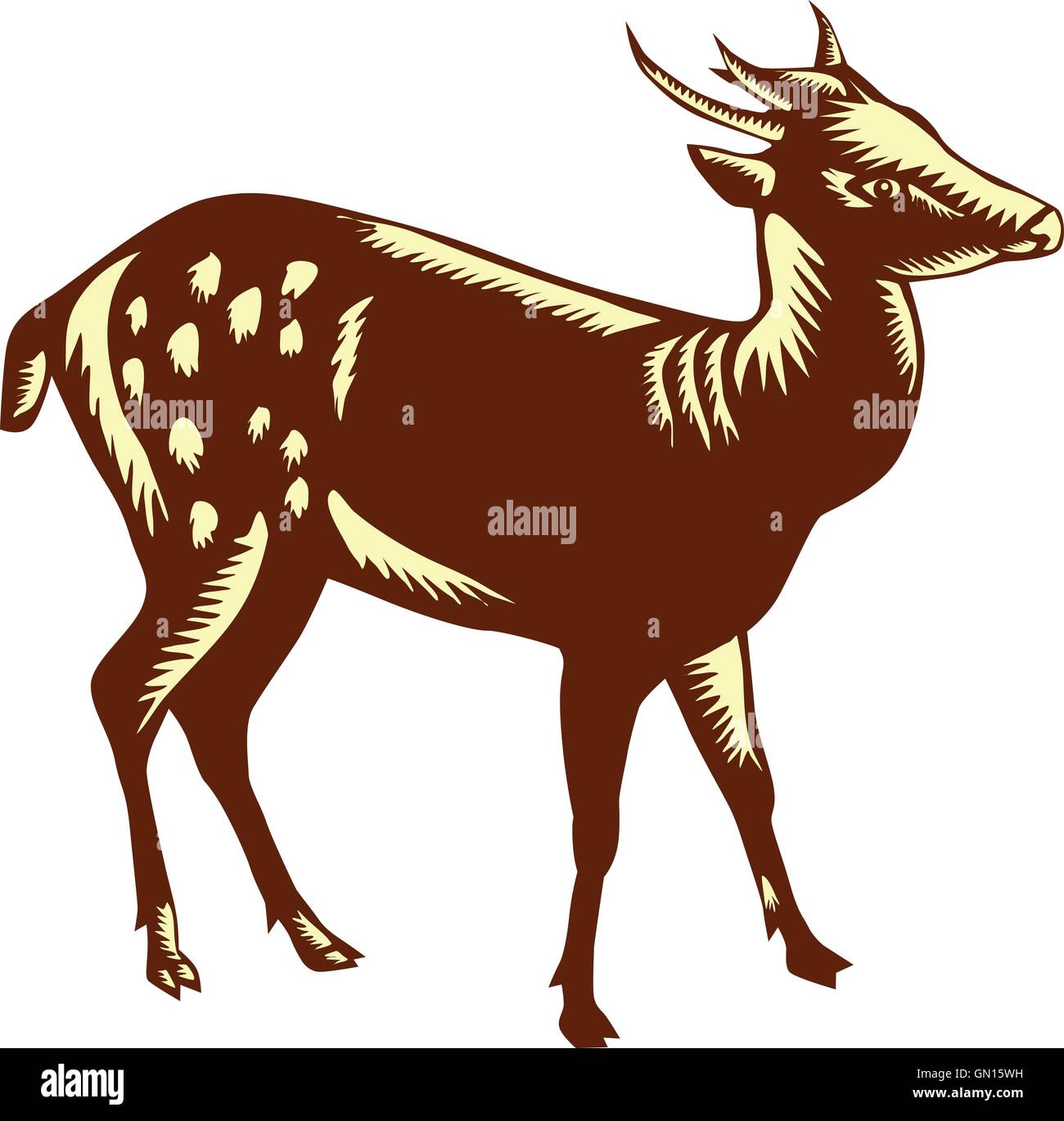 Philippine Spotted Deer Woodcut Stock Vector Image & Art - Alamy