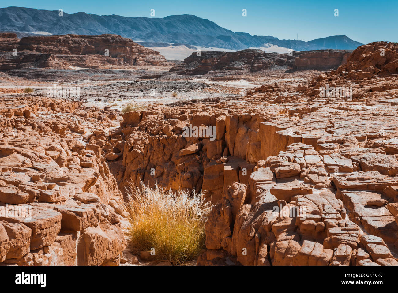 Sinai desert landscape Stock Photo - Alamy