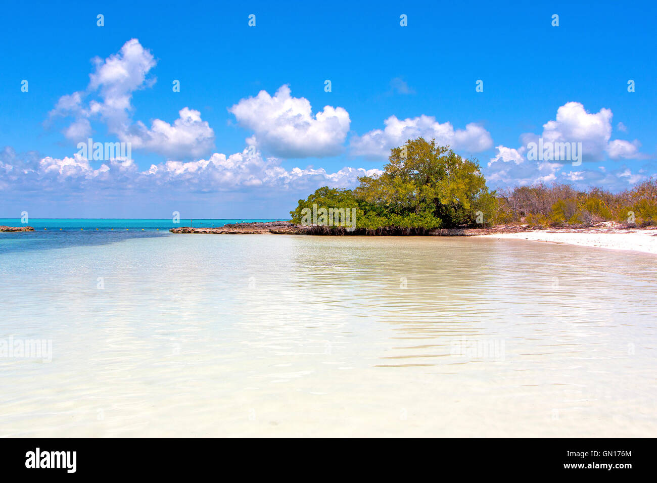 blue in mexico froath and blue foam the sea drop sunny day wave Stock ...