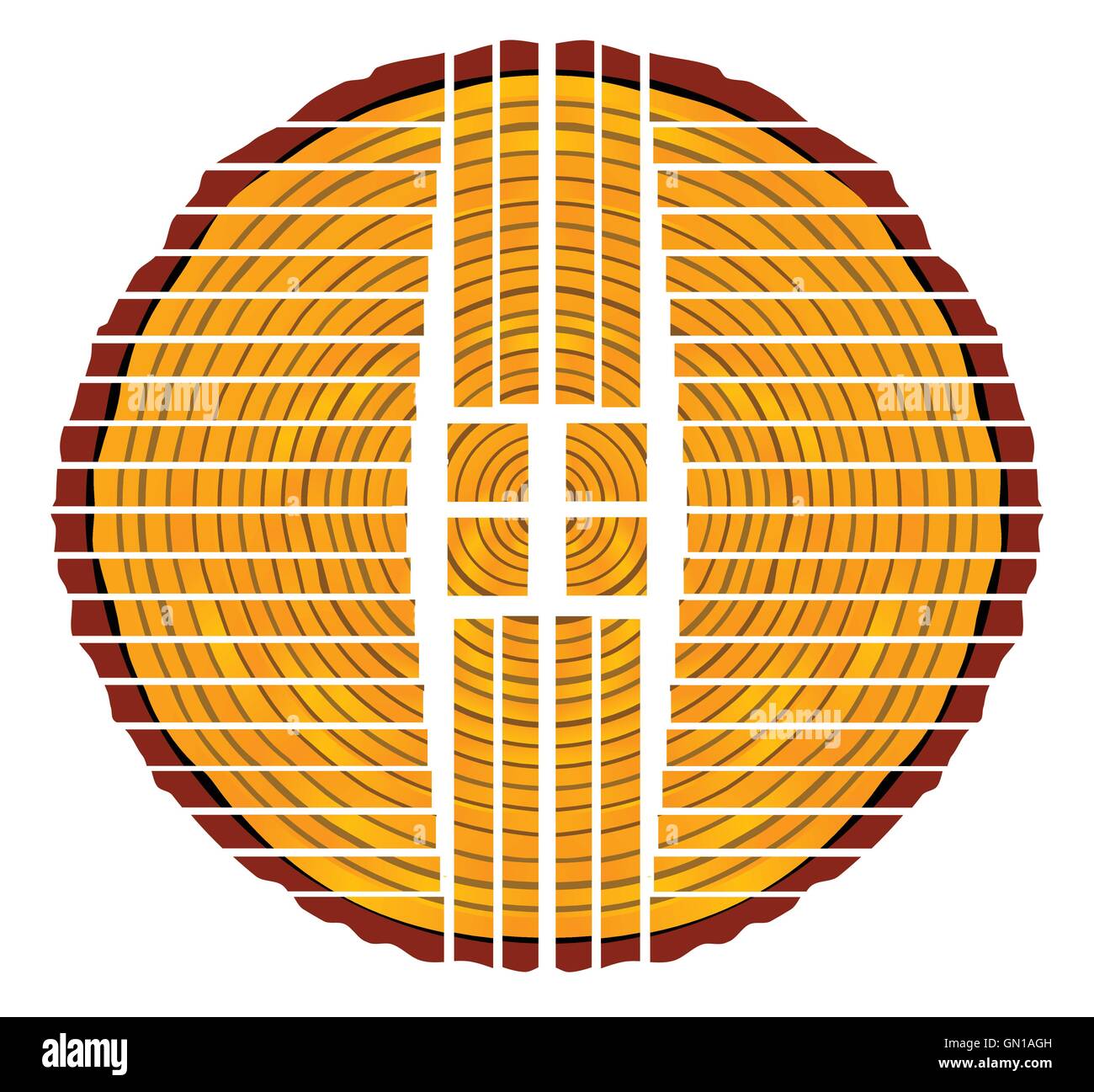 Quarter Sawn Timber End Section Stock Vector Image & Art - Alamy