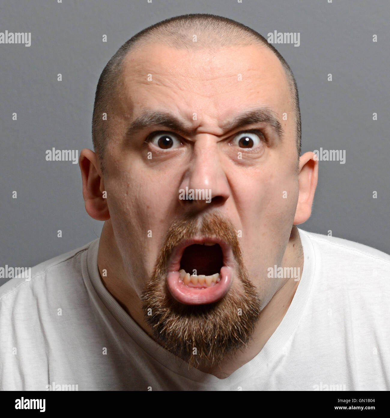 Portrait of a angry man screaming against gray background Stock Photo ...