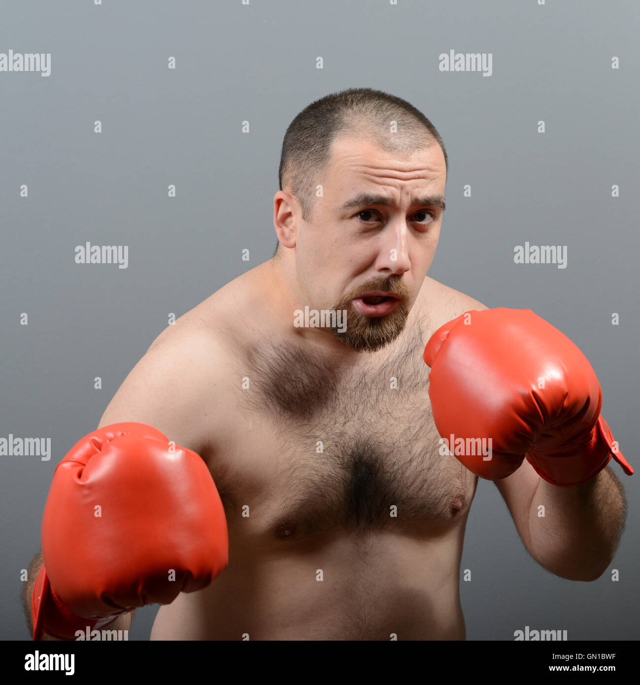 Man boxer portrait fat hi-res stock photography and images - Alamy