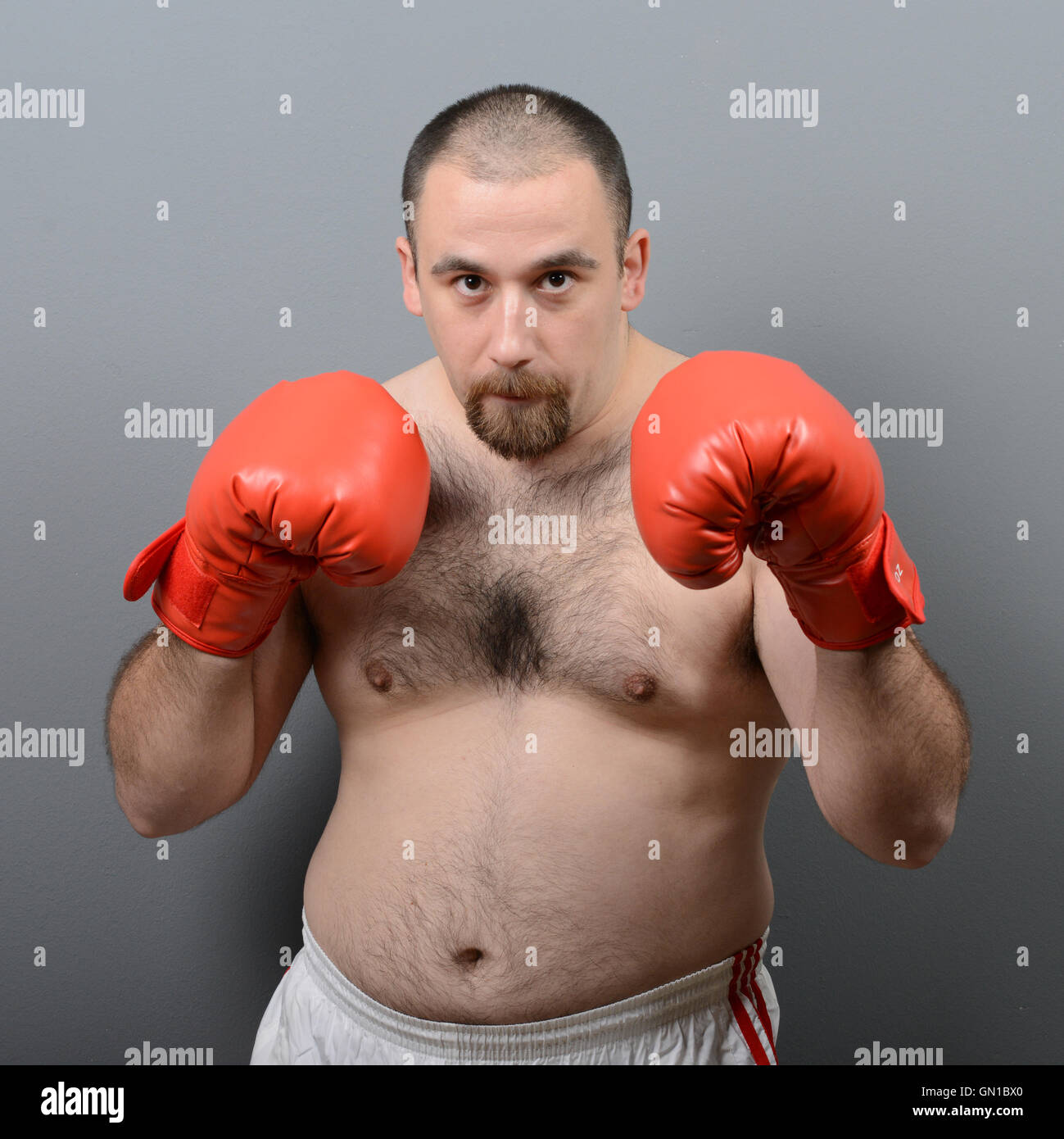 Portrait of funny fat boxer against gray background Stock Photo - Alamy