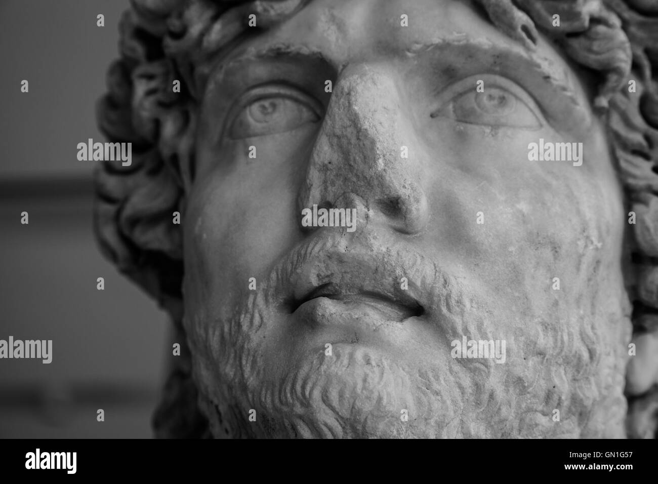 Status head ancient greek kings Black and White Stock Photos & Images ...