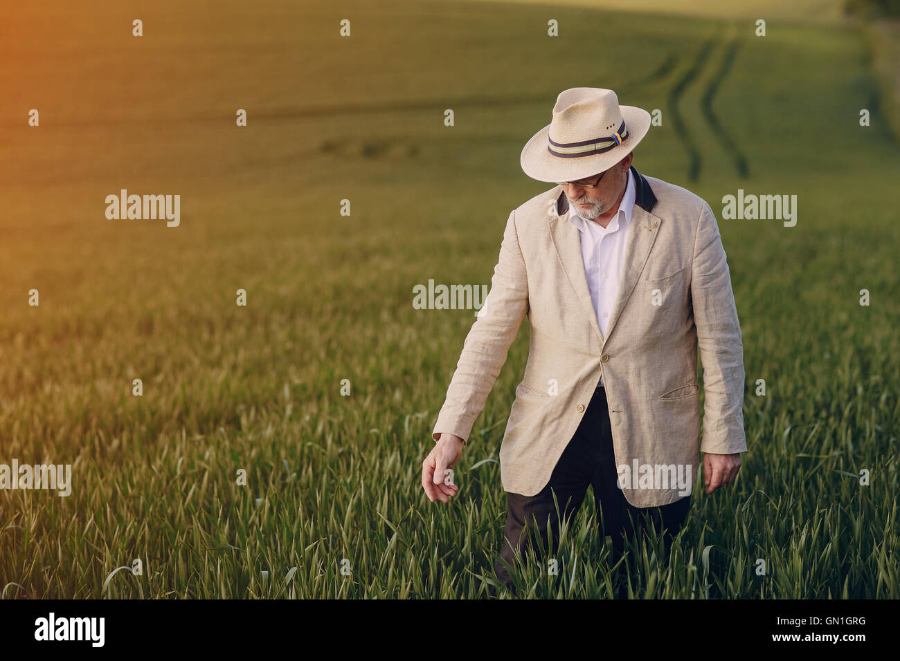 old man in field Stock Photo - Alamy