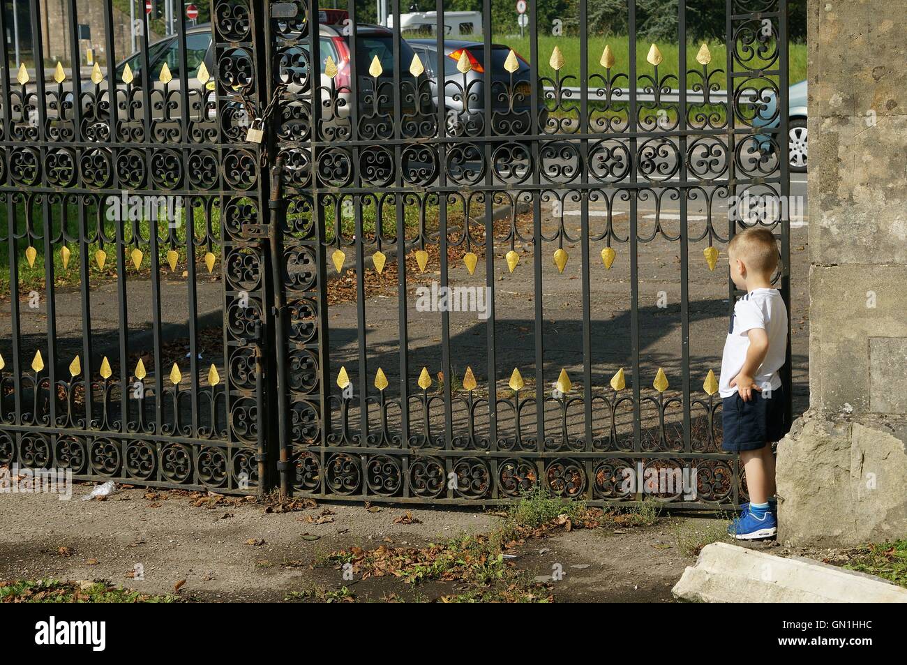 Look Through Gate Young Stock Photos & Look Through Gate Young Stock ...