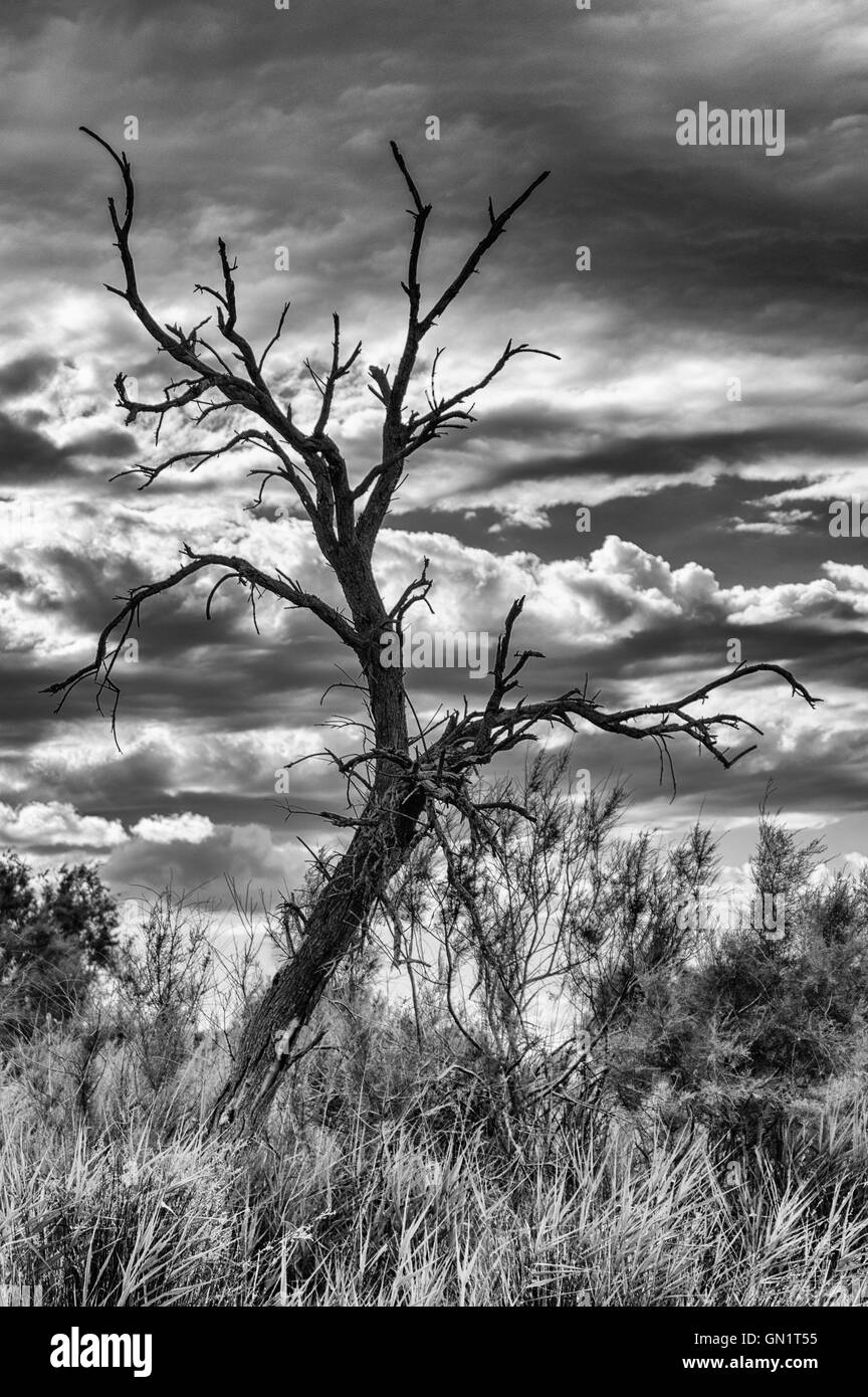 Cloudy white sky over Black and White Stock Photos & Images - Alamy