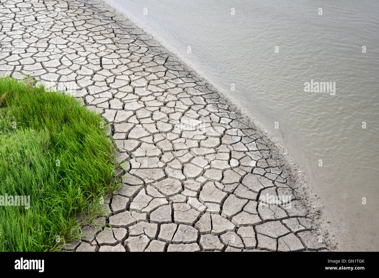 Drought mud puddle hi-res stock photography and images - Alamy