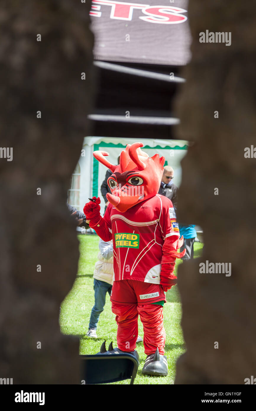 Spring Fayre at Pembroke Castle - Medieval Day Stock Photo - Alamy