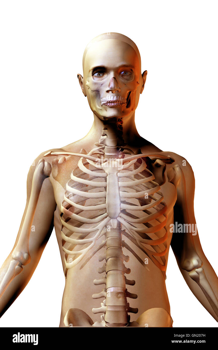 male figure with skeleton superimposed Stock Photo - Alamy