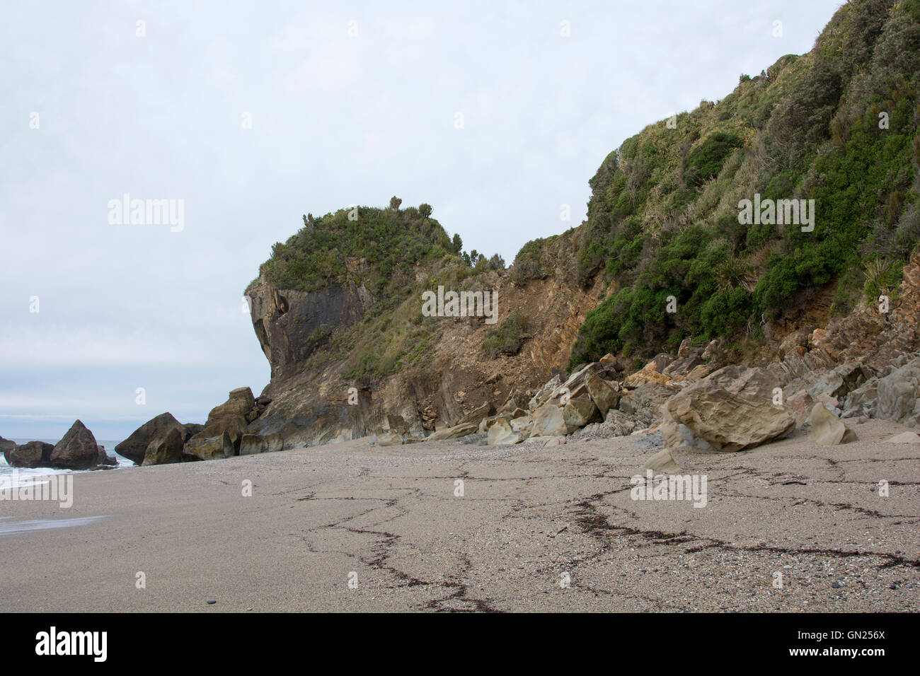 An easy walk through fantastic coastal forest leads to the remote Monro ...