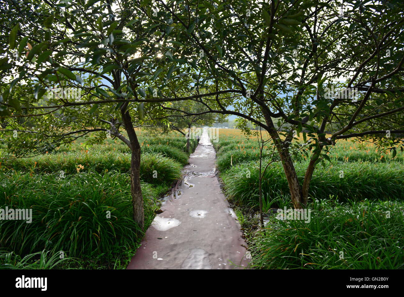 Let's take a walk Stock Photo - Alamy