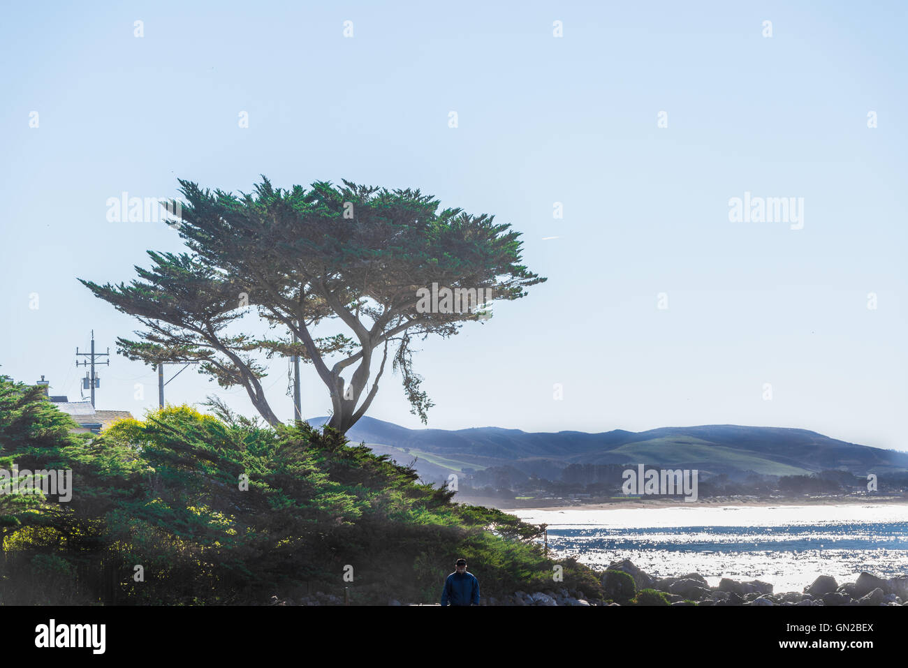 California coastal route 1 scenic ocean view drive Stock Photo - Alamy