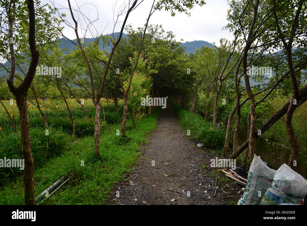 Let's take a walk Stock Photo - Alamy