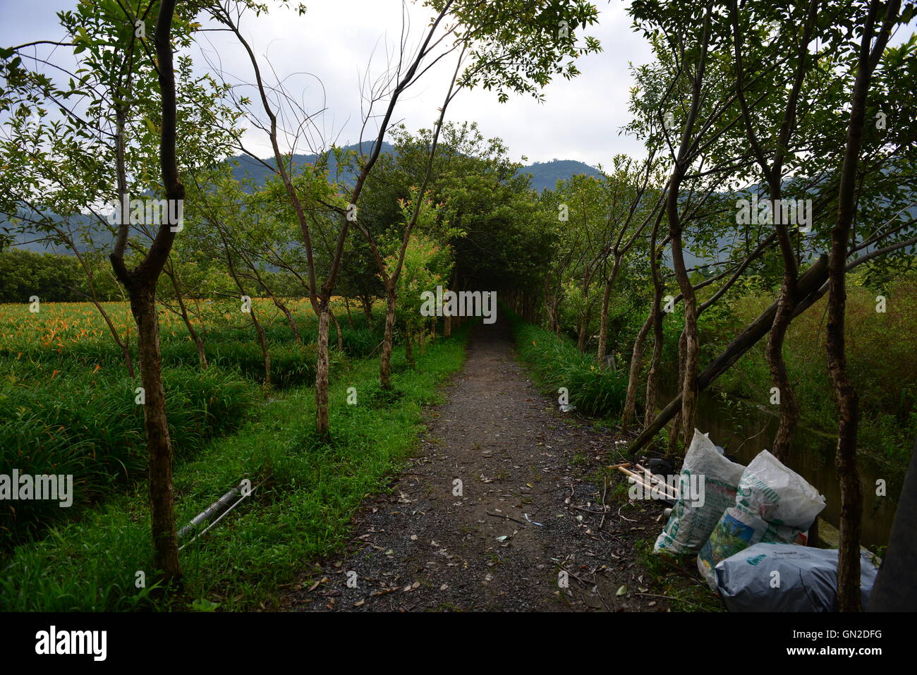 Let's take a walk Stock Photo - Alamy