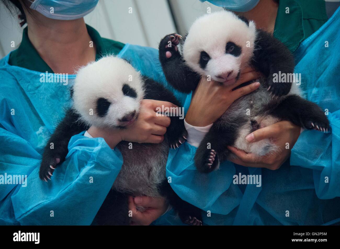 Meet the public hi-res stock photography and images - Alamy