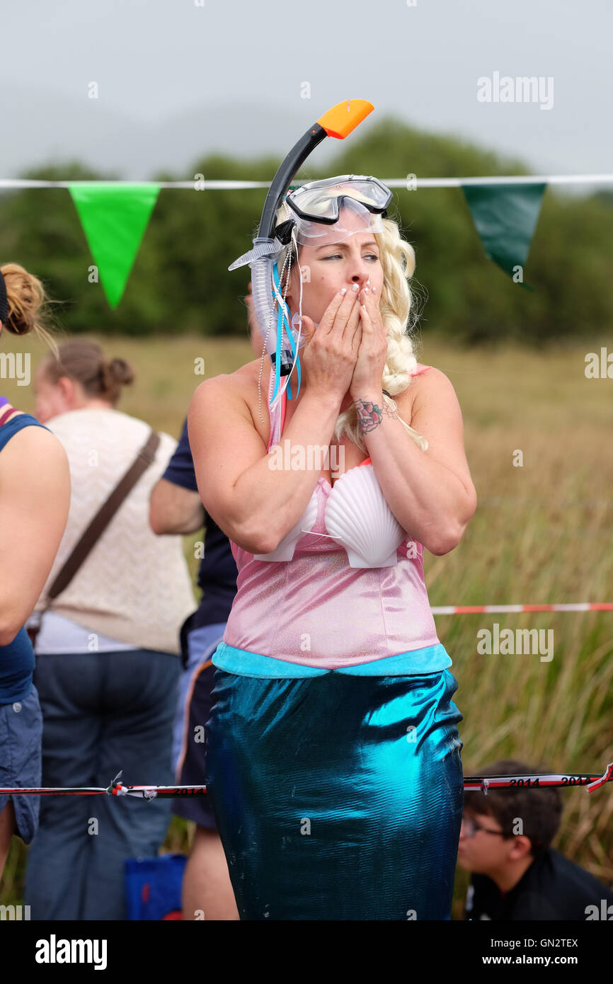 31st World Bog Snorkelling Championships, Llanwrtyd Wells, Powys, Wales ...
