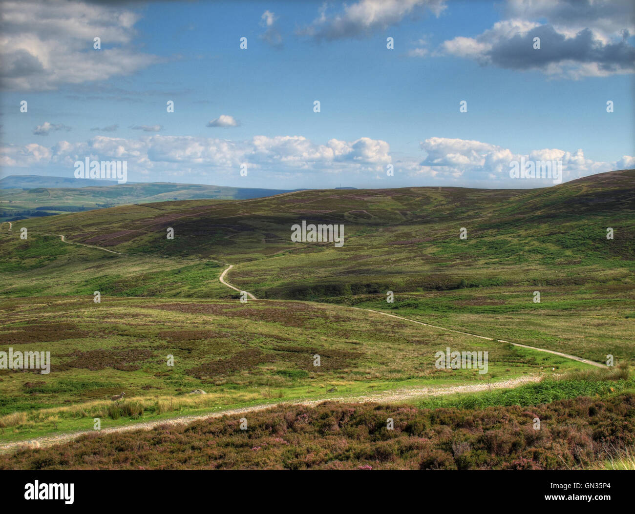 The Hornby Road or "Salter Fell Road" in the Forest of Bowland Stock ...