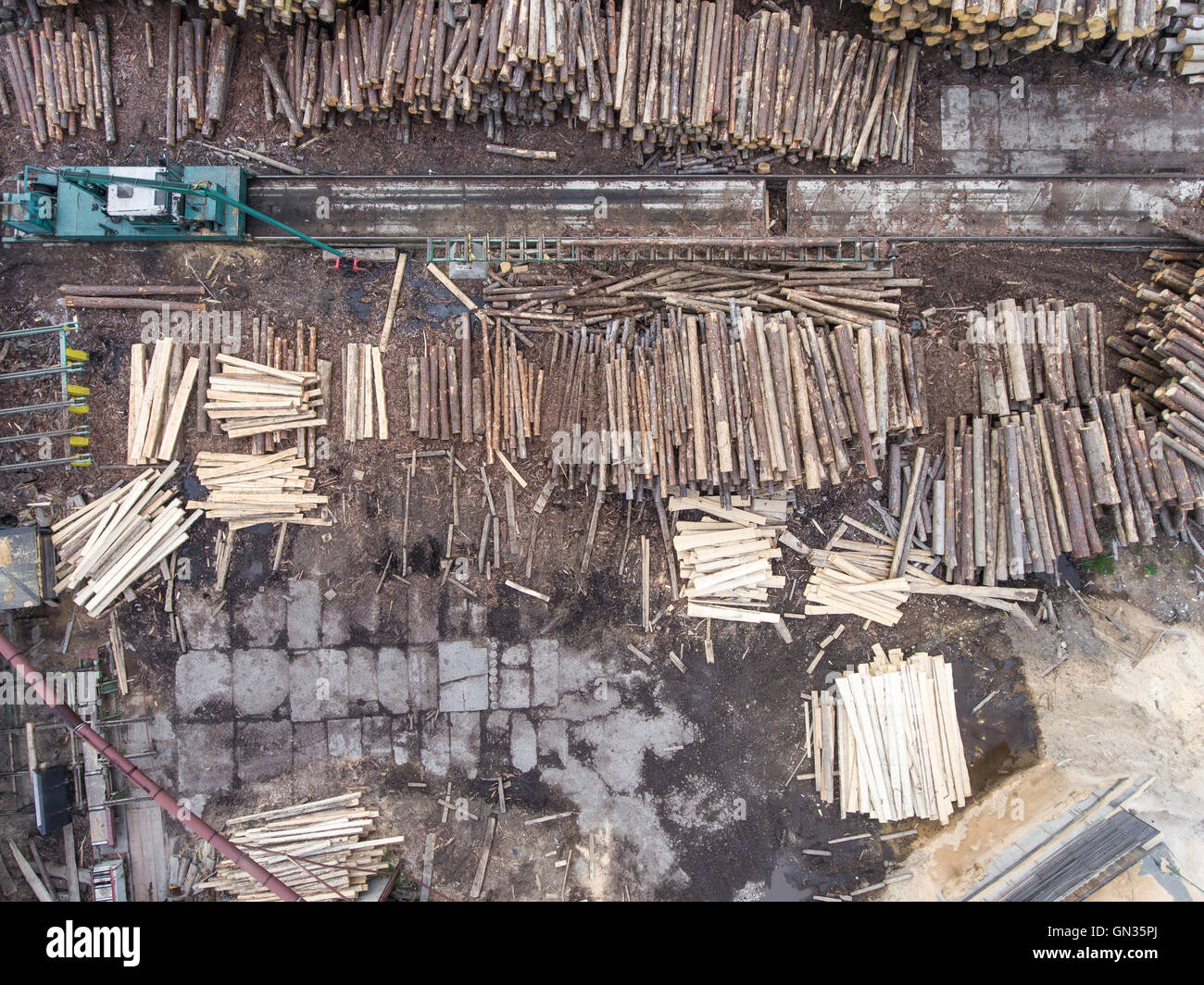 Sawmill felled trees hi-res stock photography and images - Alamy
