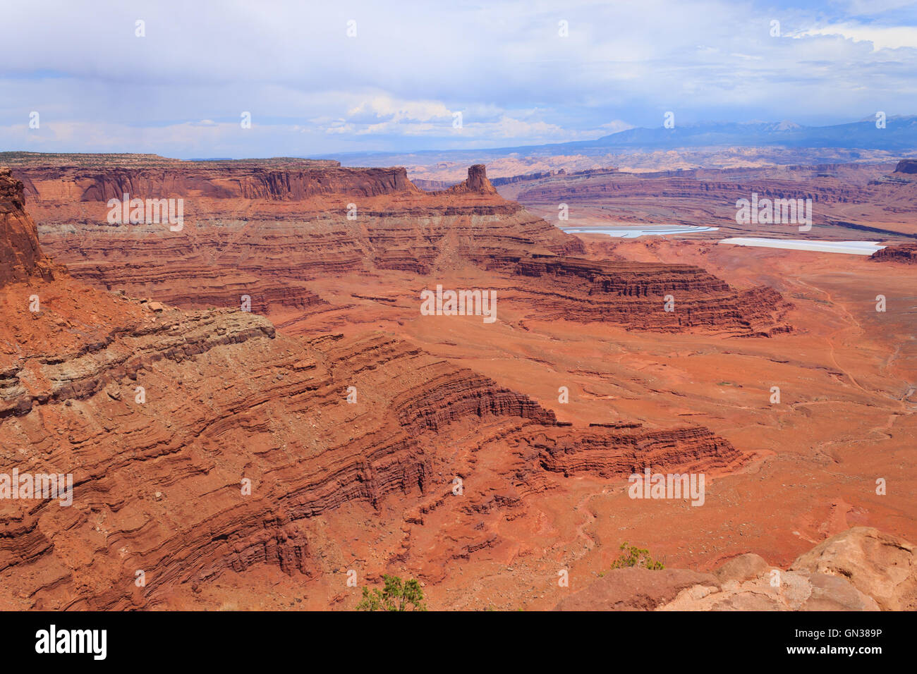 Colorado river canyon. Panorama from Utah. Red rocks. United States of ...