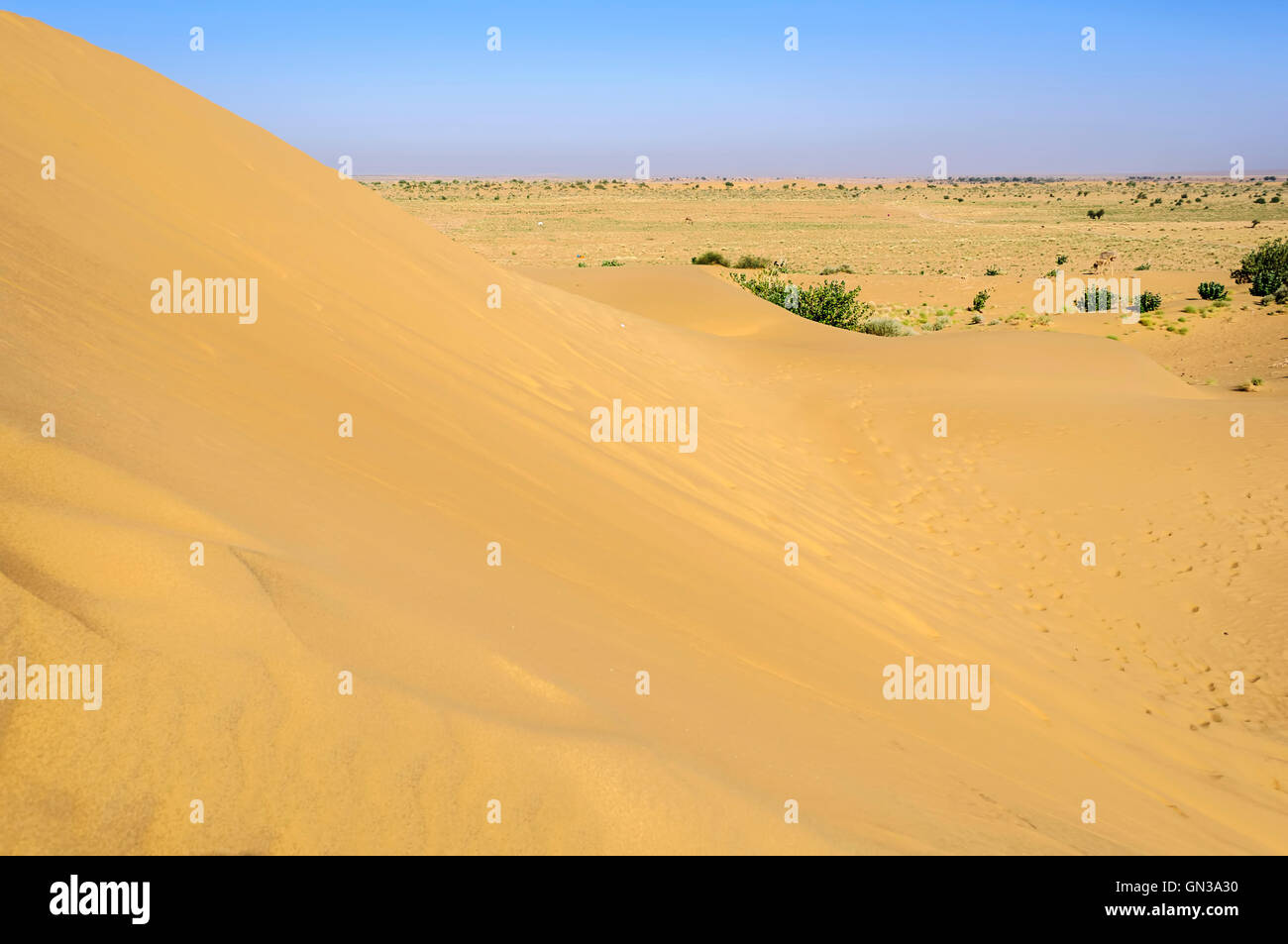 Landscape Sand dunes, SAM dunes, ripples, Desert National Park of Thar ...