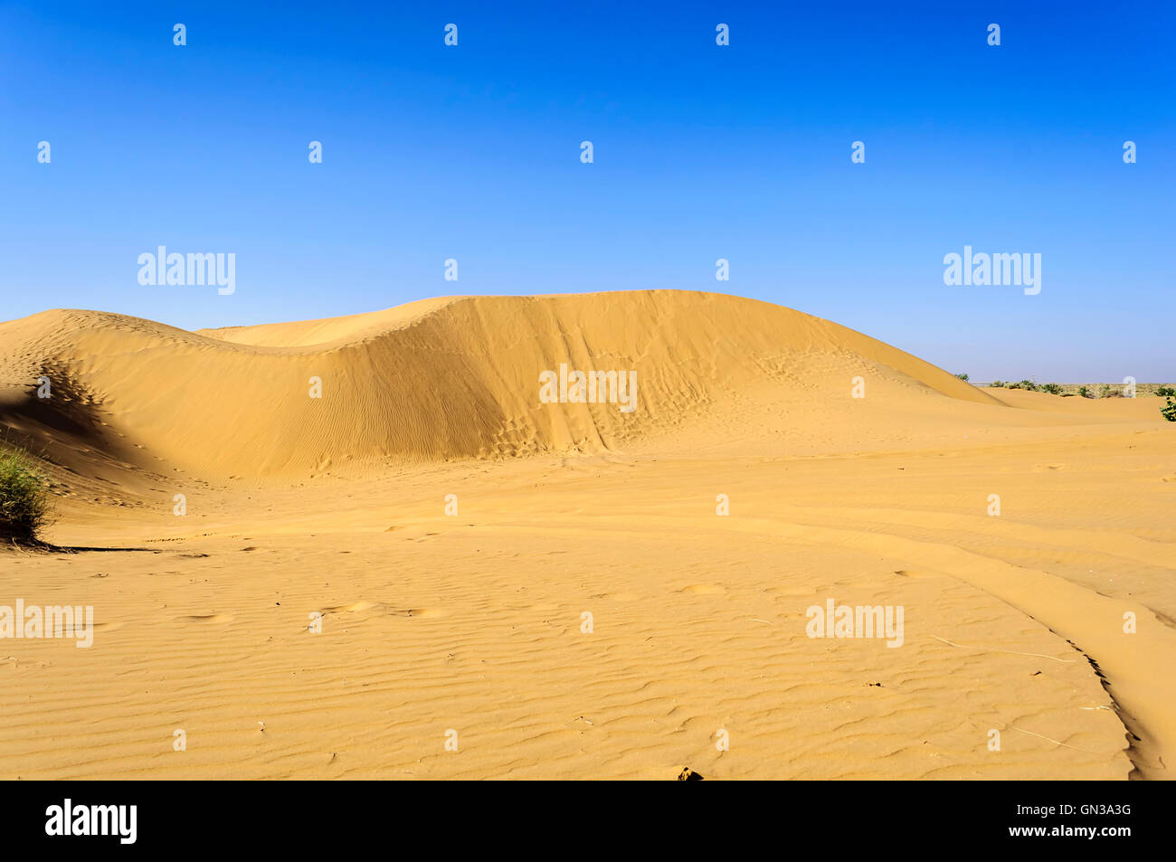 Landscape Sand dunes, SAM dunes, ripples, Desert National Park of Thar ...