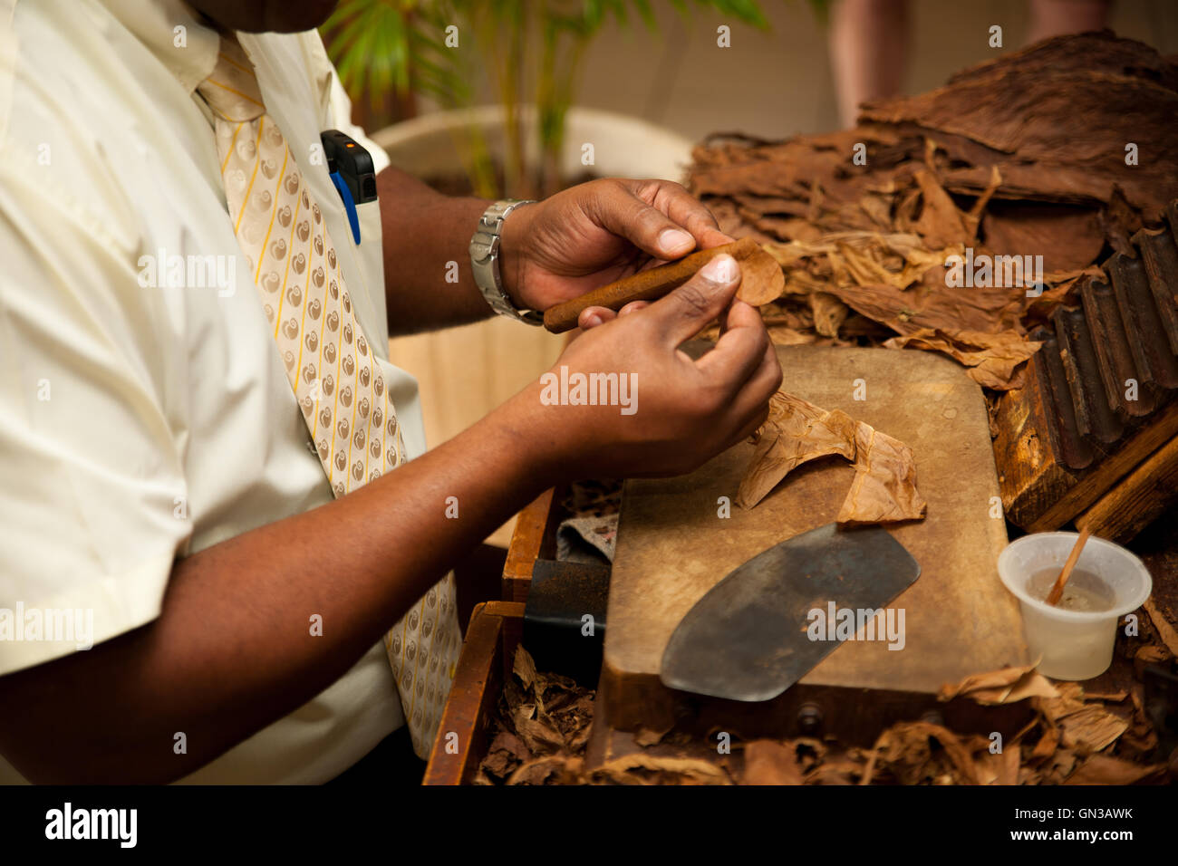Tobacco manufacturing process hi-res stock photography and images - Alamy