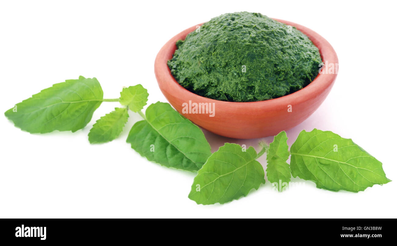 Tulsi leaves hi-res stock photography and images - Alamy