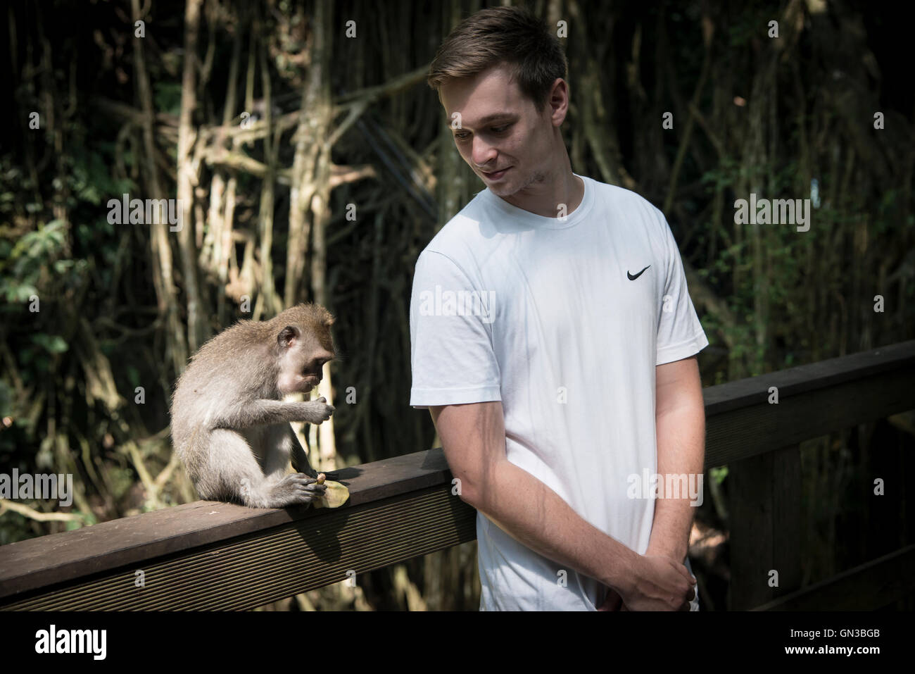 Young man watches a monkey eating Stock Photo - Alamy