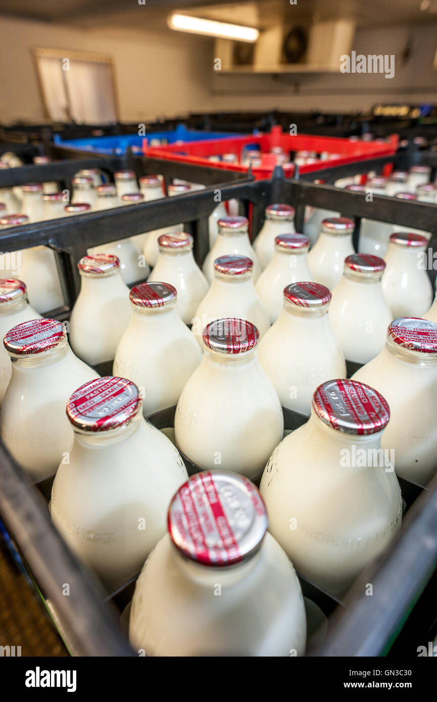 A milk distribution centre in Hove Stock Photo - Alamy