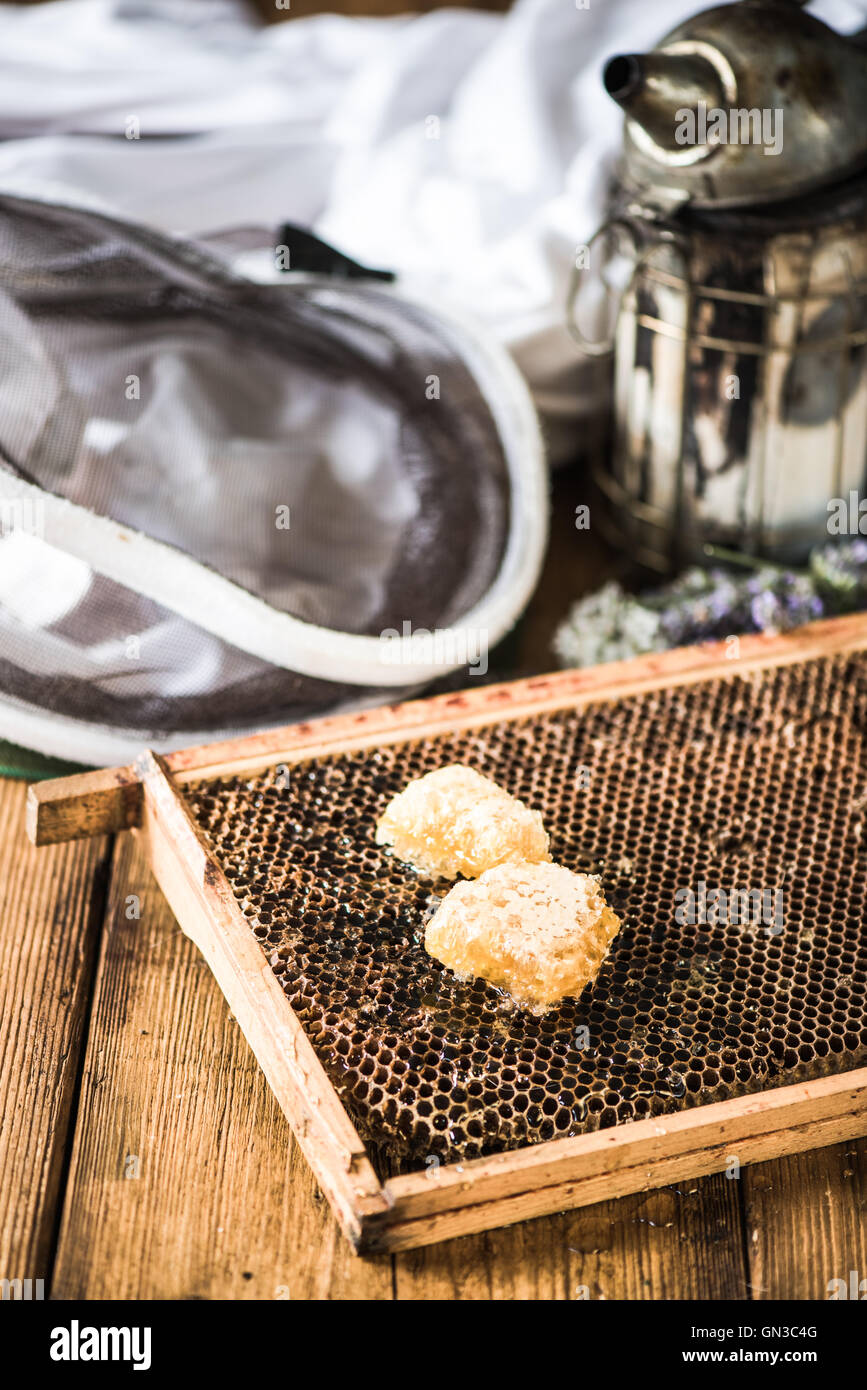 Beekeeping, tools and equipment. Agriculture and farming industry Stock ...