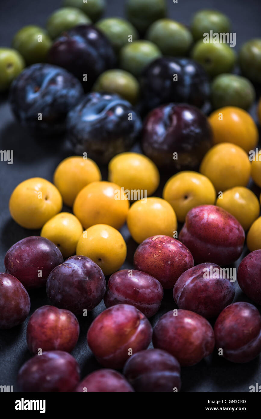 varieties of plums from orchand,autumn seasonal fruits Stock Photo - Alamy