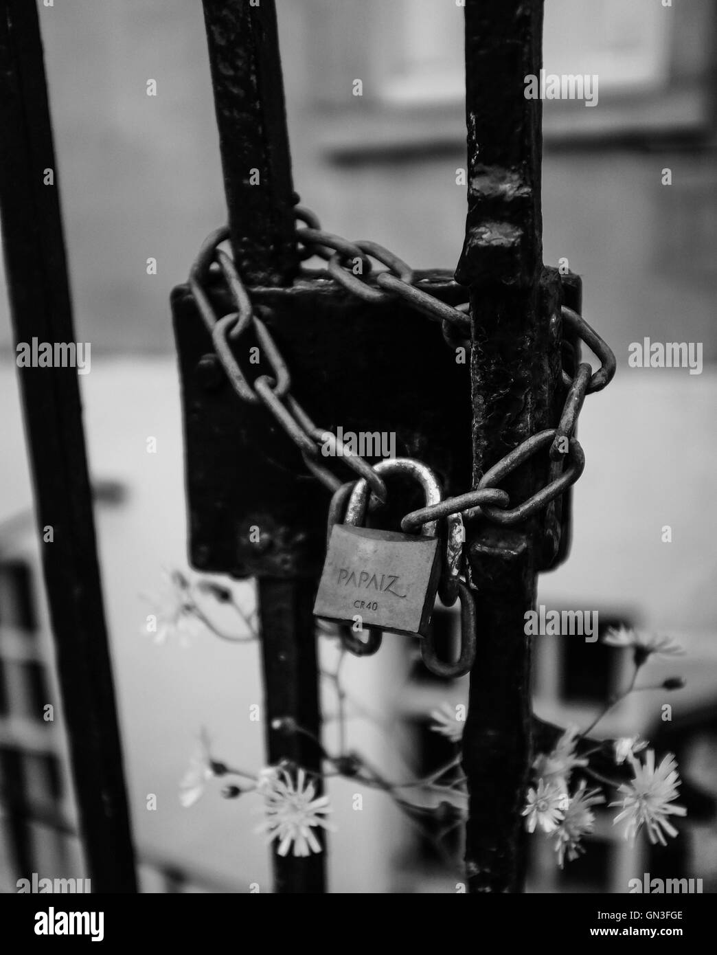 Metal daisy flower hi-res stock photography and images - Alamy