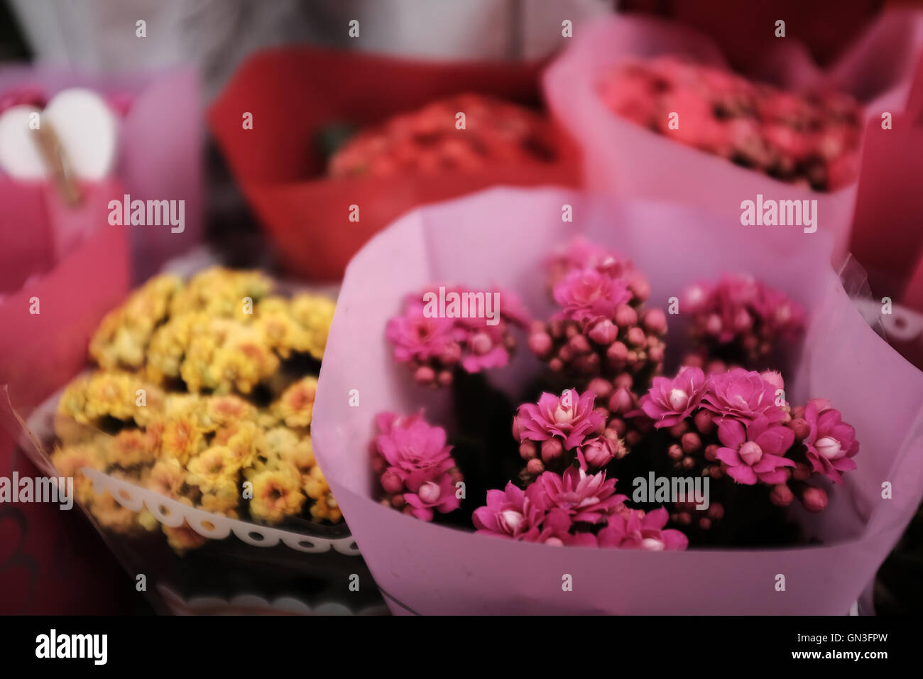 Pretty bokeh hi-res stock photography and images - Alamy