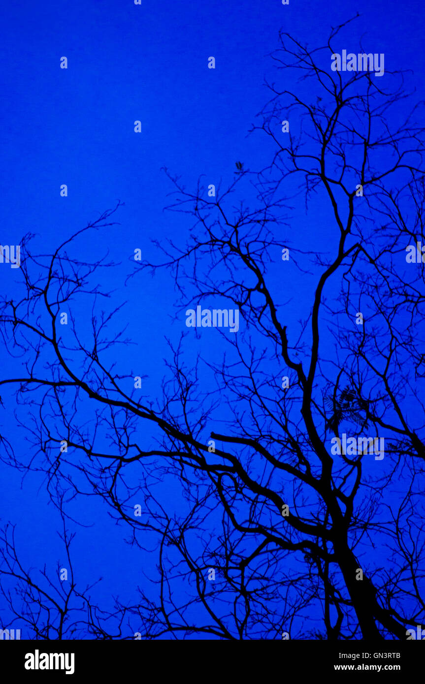 Creepy twilight hi-res stock photography and images - Alamy