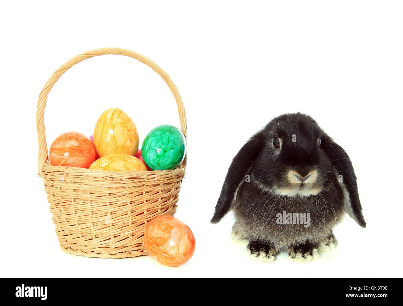 Bunny with basket hi-res stock photography and images - Alamy
