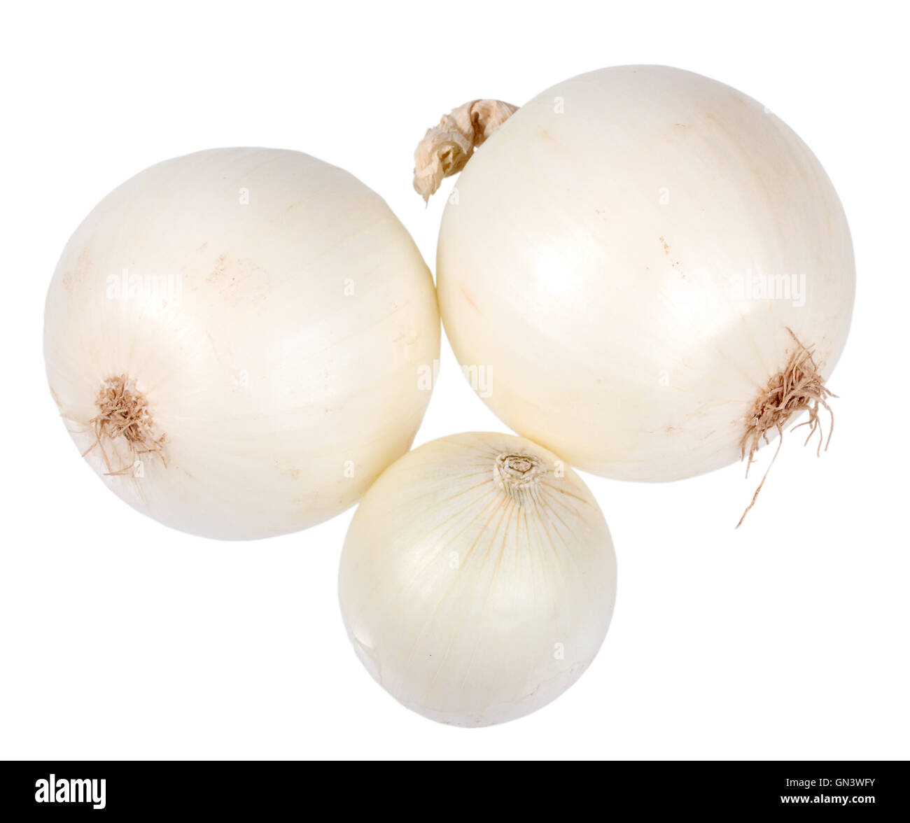 Onion isolated white hi-res stock photography and images - Alamy