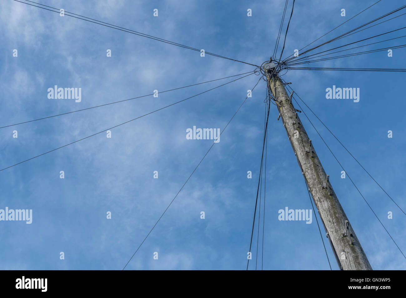 BT / Telephone cabling / telegraph pole - as visual metaphor for ...