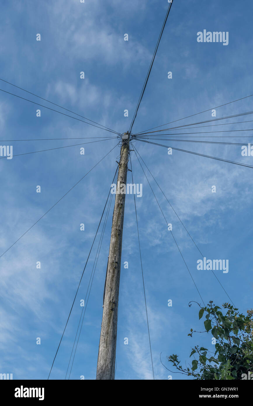 BT / Telephone cabling / telegraph pole - as visual metaphor for ...