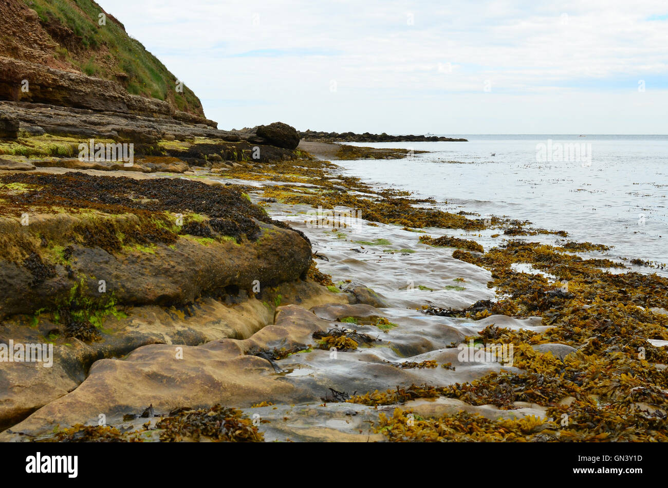 Filey Brigg, North Yorkshire Stock Photo - Alamy