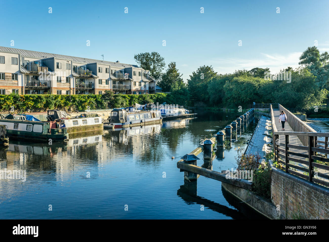 Canal boats on the River Lea at Hertford Stock Photo - Alamy
