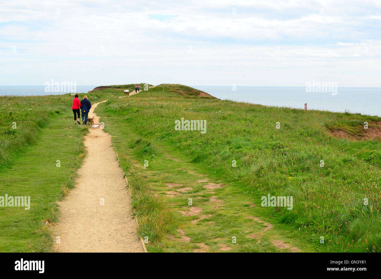 Filey Brigg, North Yorkshire Stock Photo - Alamy