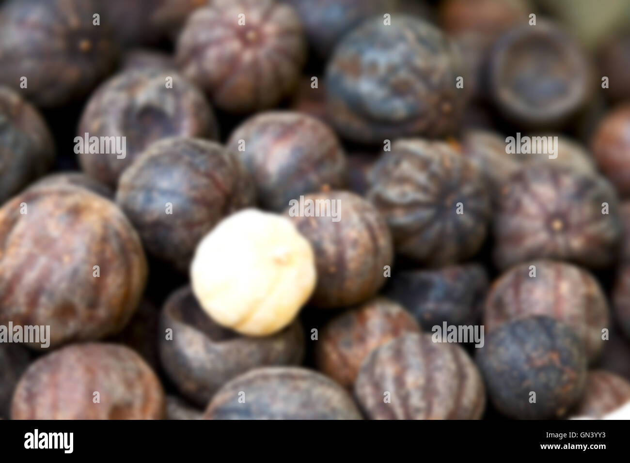 in iran blur typical dry lemon in abstract pattern background flavor ...