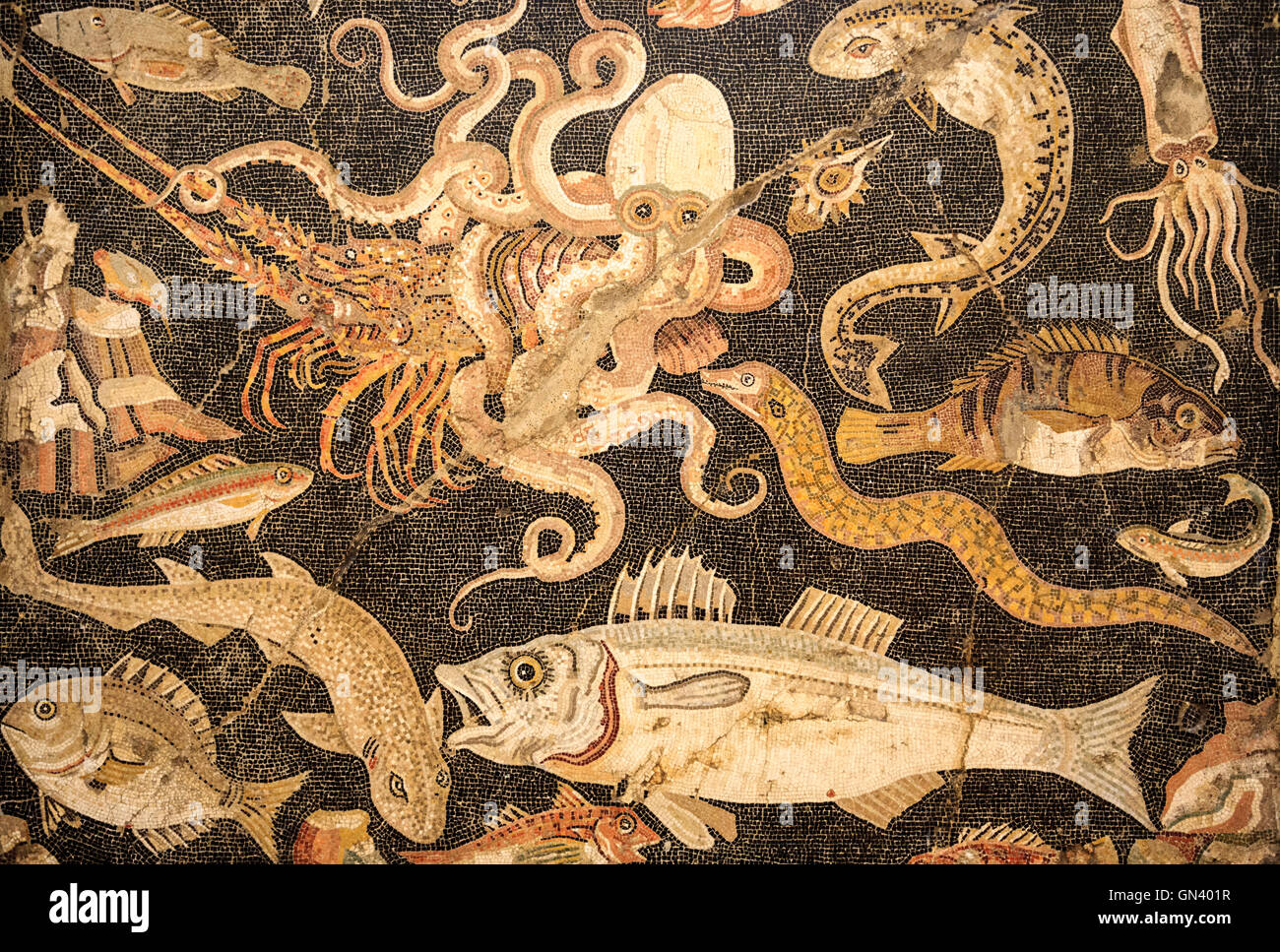 Roman Fish Mosaic Stock Photos & Roman Fish Mosaic Stock Images - Alamy