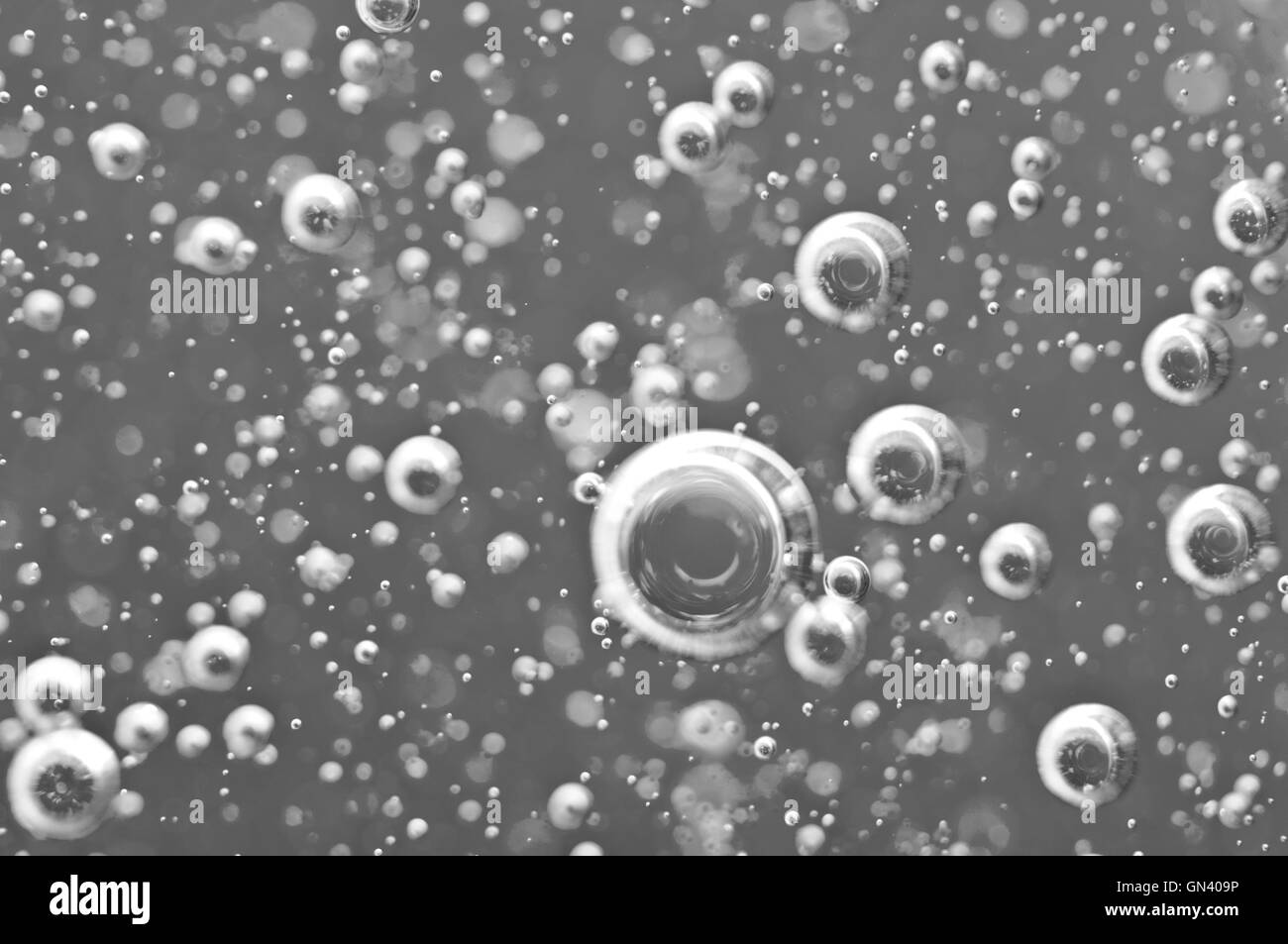 Black-and-white Macro Oxygen bubbles in water, concept such as ecology ...