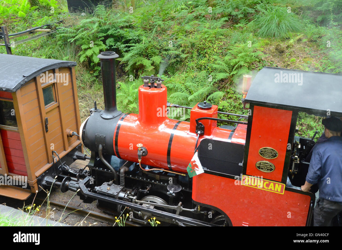 Duncan the red steam engine pulls the train from Talyllyn to the Stock ...