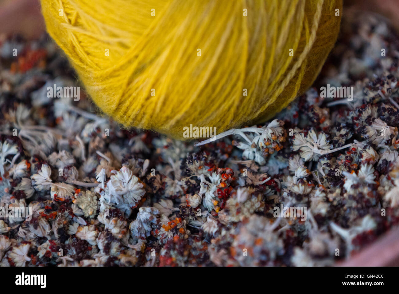 close up of a ball of yellow yarn with the seeds and blooms used to ...