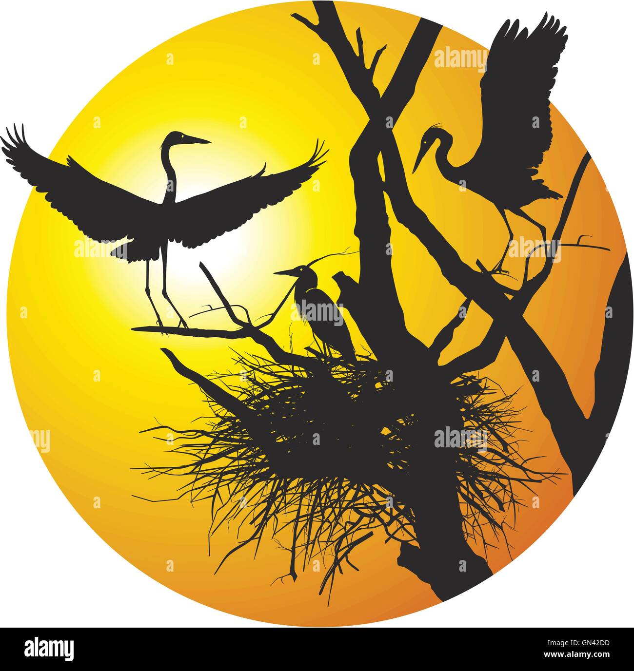 Birds nest Stock Vector Images - Alamy