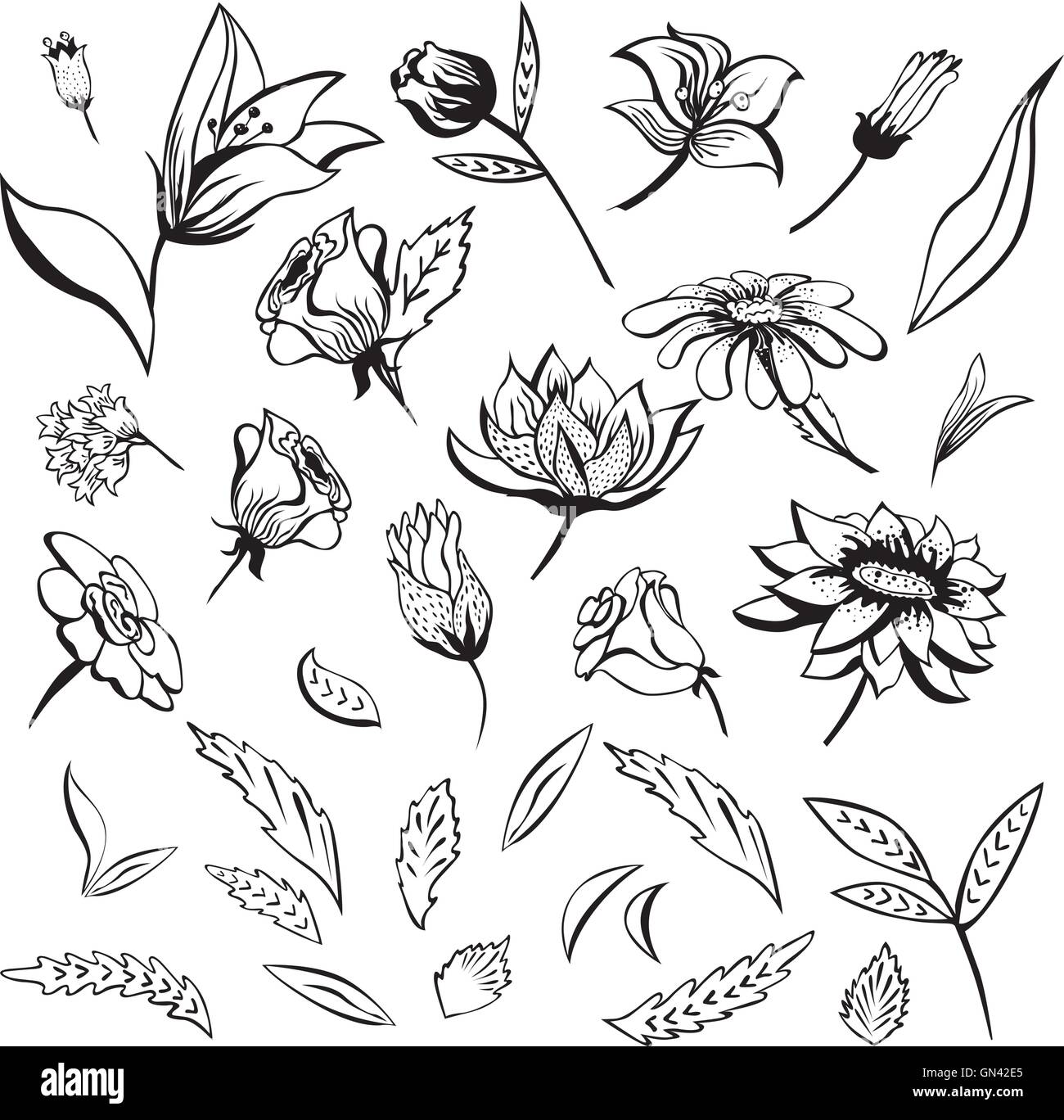 Cute vector set floral Black and White Stock Photos & Images - Alamy