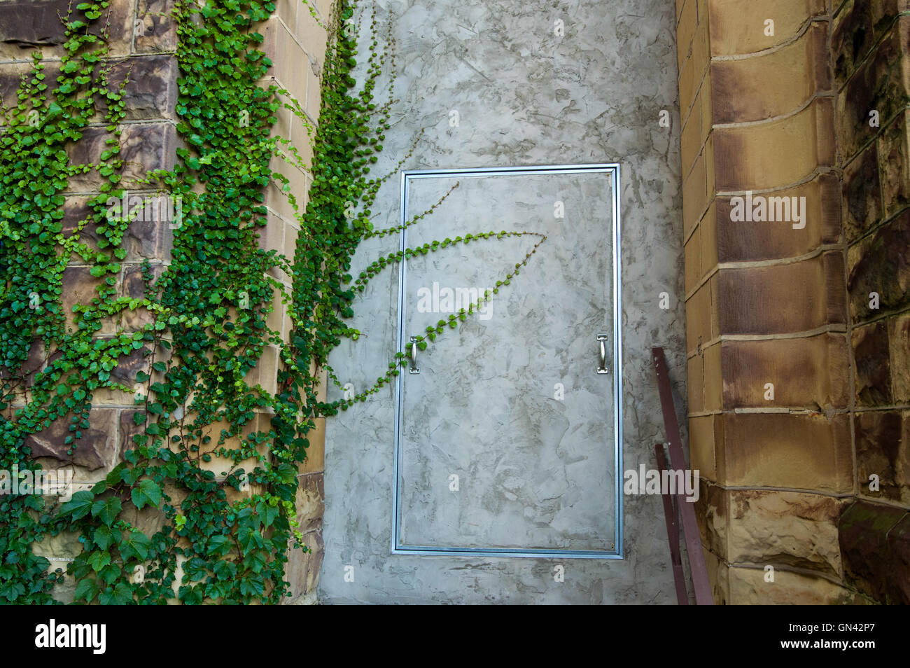 Two strands of Ivy creep onto a door at a church in Homestead ...